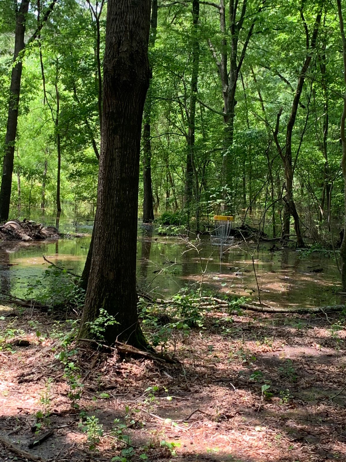City Beach at Darwin Wright Park - Anderson, SC | UDisc Disc Golf ...