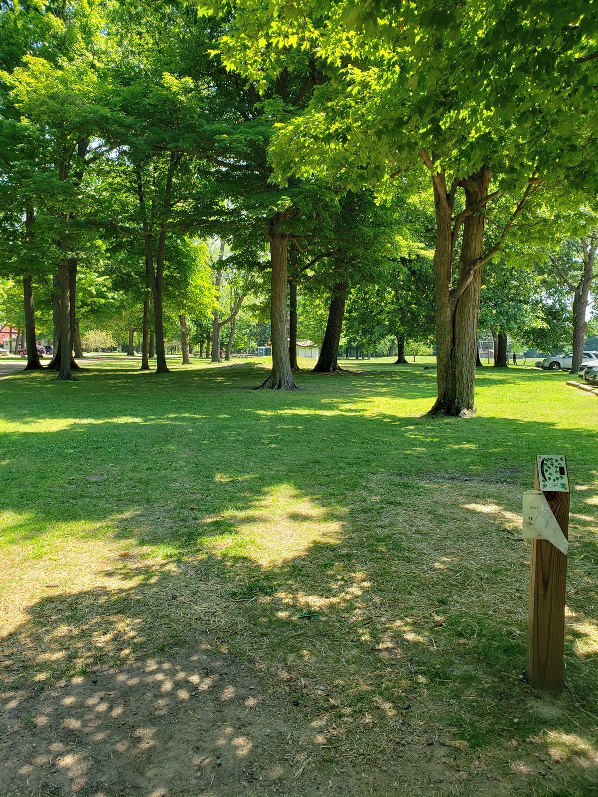 Fitzgerald Park - Grand Ledge, Michigan | UDisc Disc Golf Course Directory