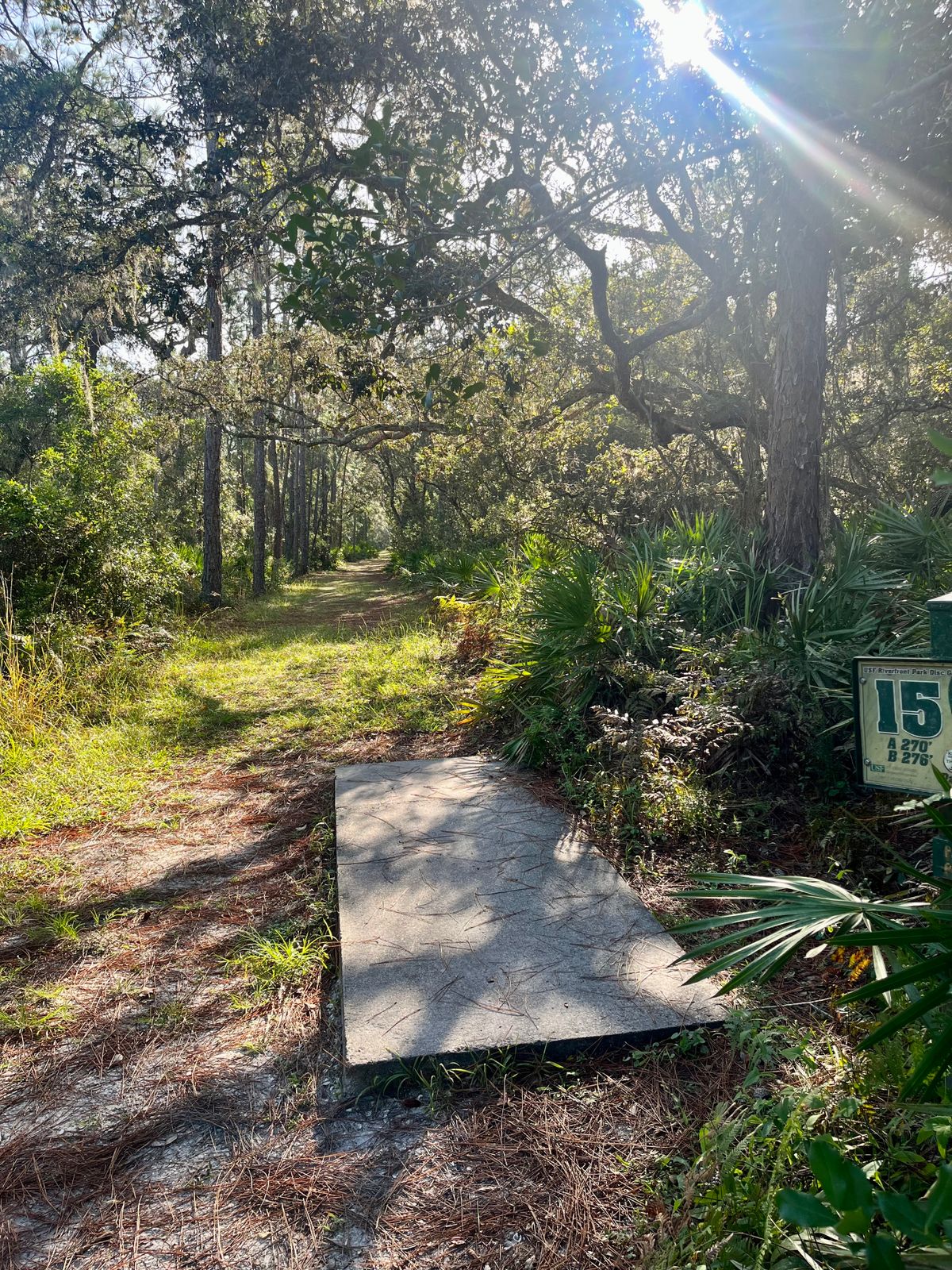 USF Riverfront Park - Tampa, Florida | UDisc Disc Golf Course Directory