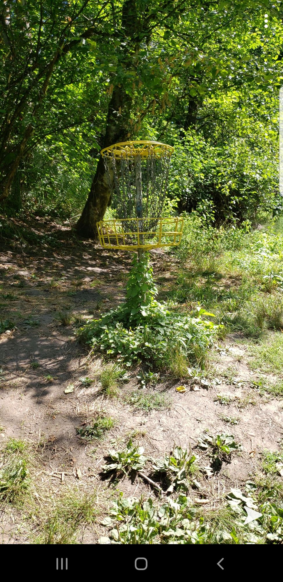 Dabney State Park - Corbett, Oregon | UDisc Disc Golf Course Directory