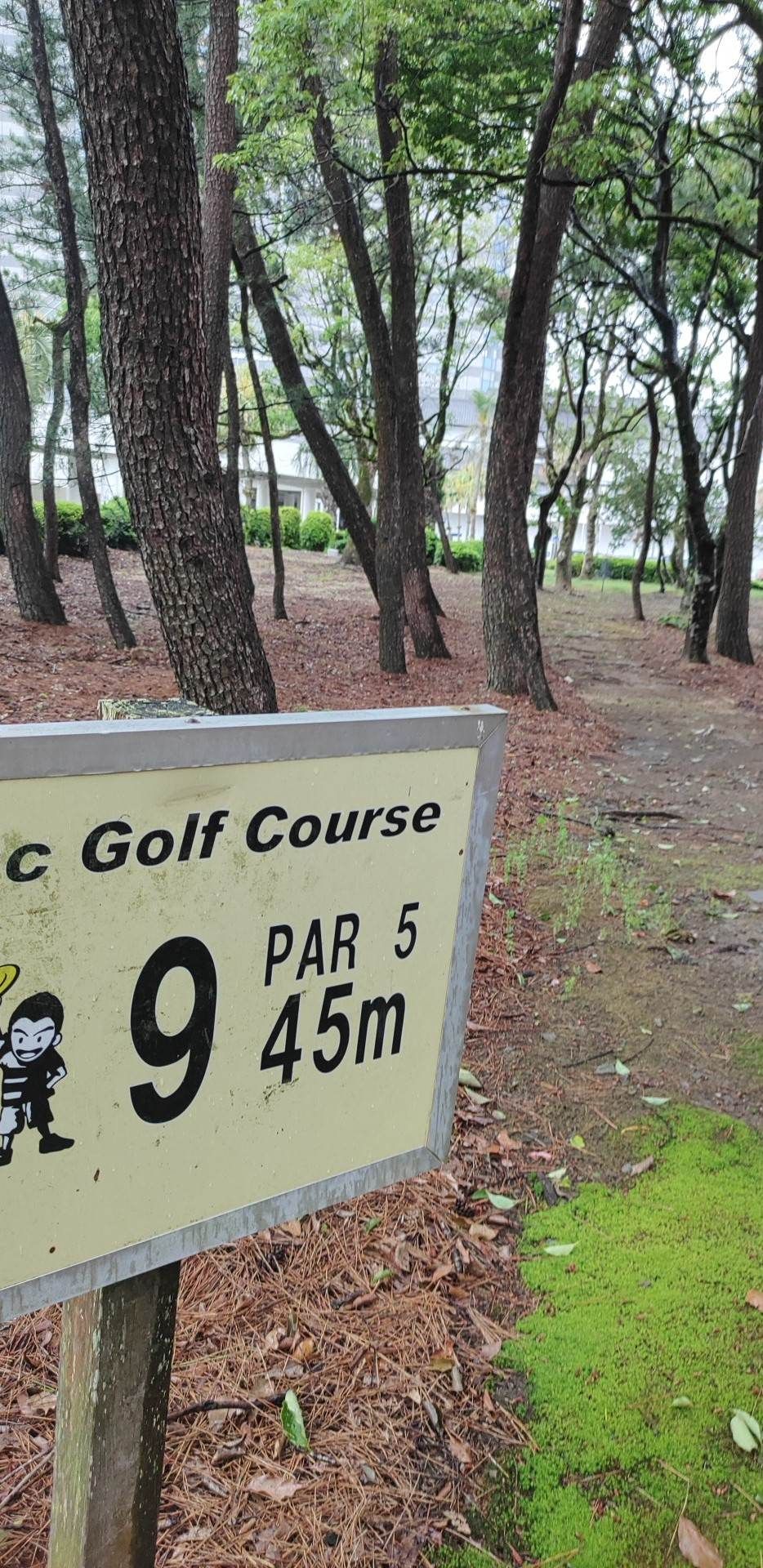 Tsuma Disc Golf - Your Guide to Disc Golf in Tsuma, Japan | UDisc