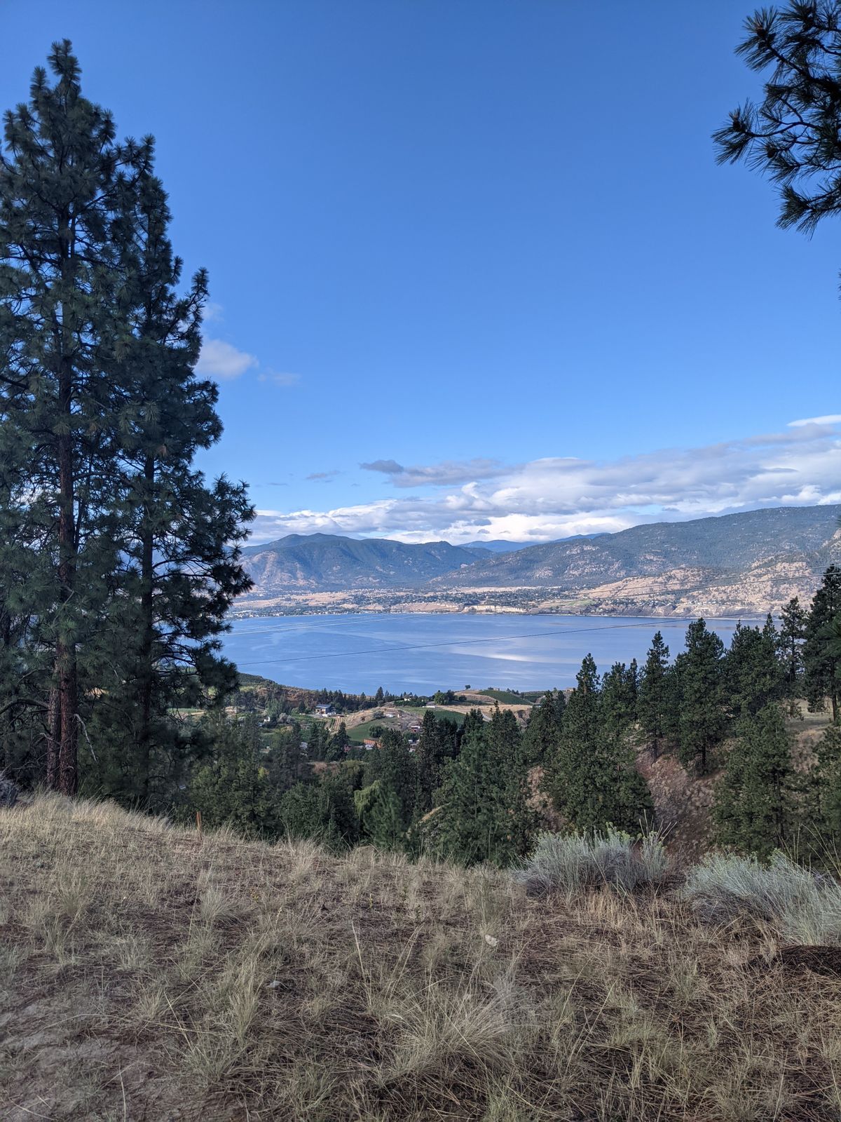 Three Blind Mice Disc Golf Course - Penticton, BC, Canada | UDisc Disc ...