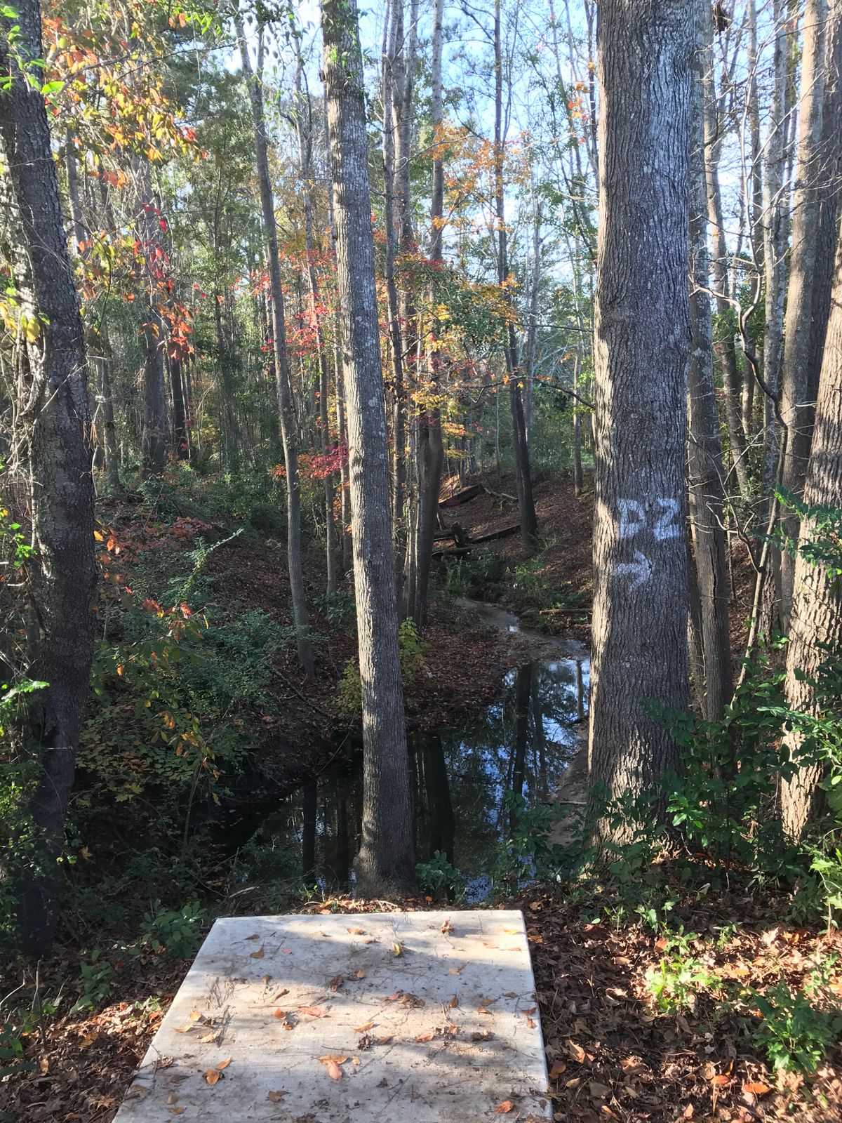 Dillon Park DGC - Sumter, SC | UDisc Disc Golf Course Directory
