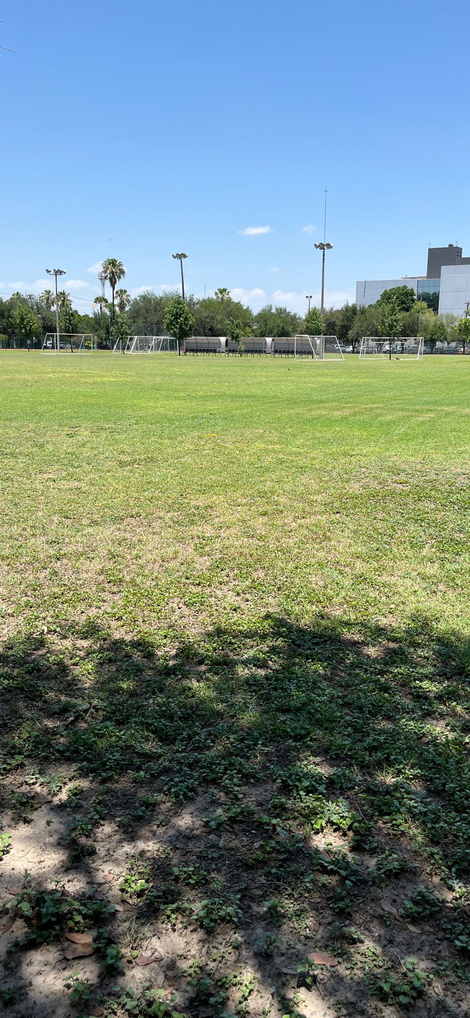 SCYF - Monterrey, Mexico | UDisc Disc Golf Course Directory