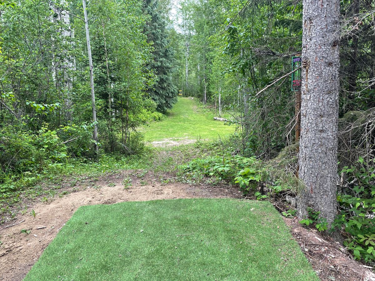 DV Top Gun - Rocky Rapids, AB, Canada | UDisc Disc Golf Course Directory