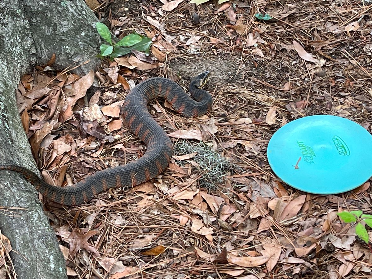 Hanahan Amphitheater Course - Hanahan, SC | UDisc Disc Golf Course ...