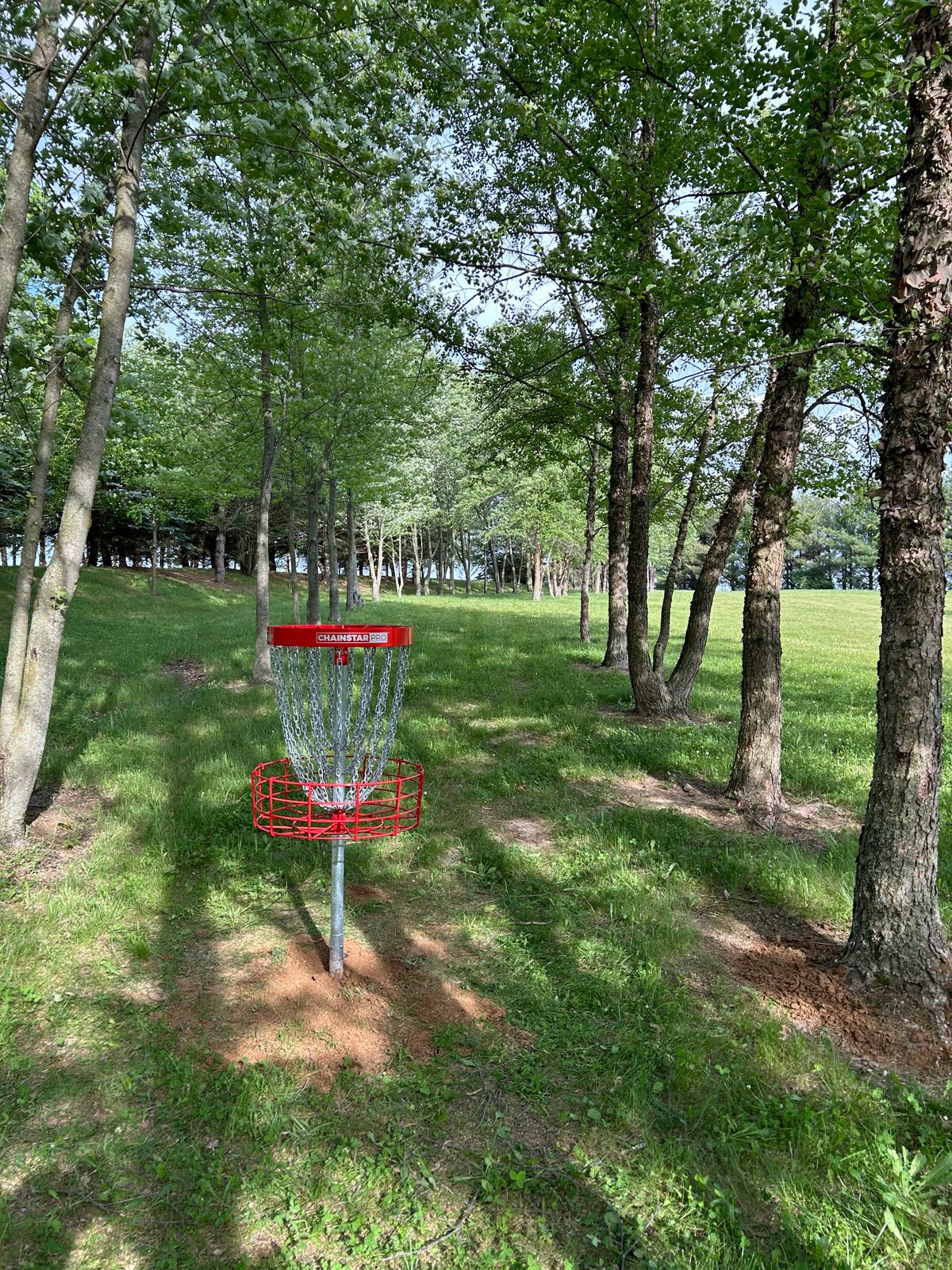 Converse Disc Golf - Your Guide to Disc Golf in Converse, Indiana | UDisc