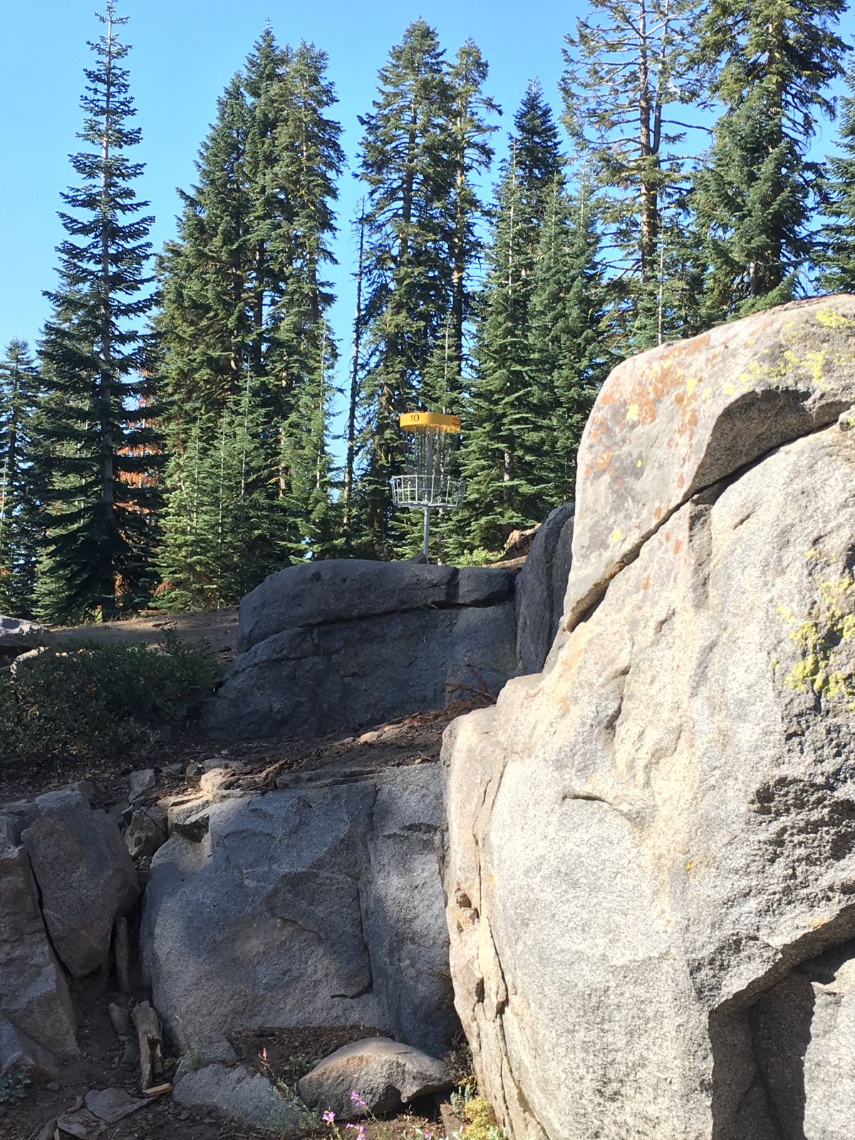Donner Ski Ranch - Truckee, CA | UDisc Disc Golf Course Directory
