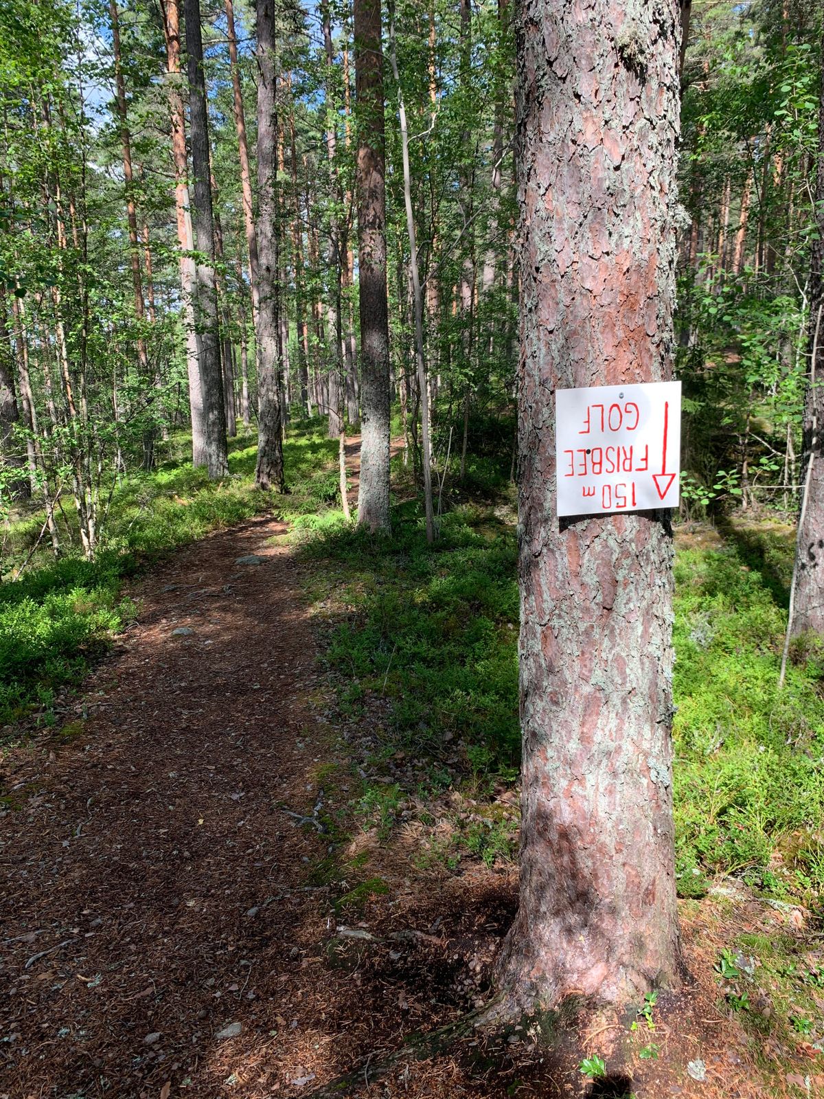 Kniva Discgolf - Falun, Sweden | UDisc Disc Golf Course Directory