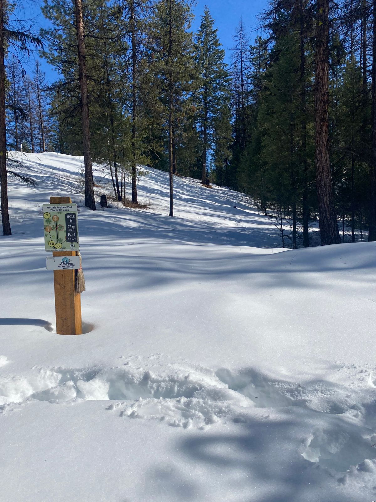 Wycliffe DGC - Wycliffe, BC, Canada | UDisc Disc Golf Course Directory