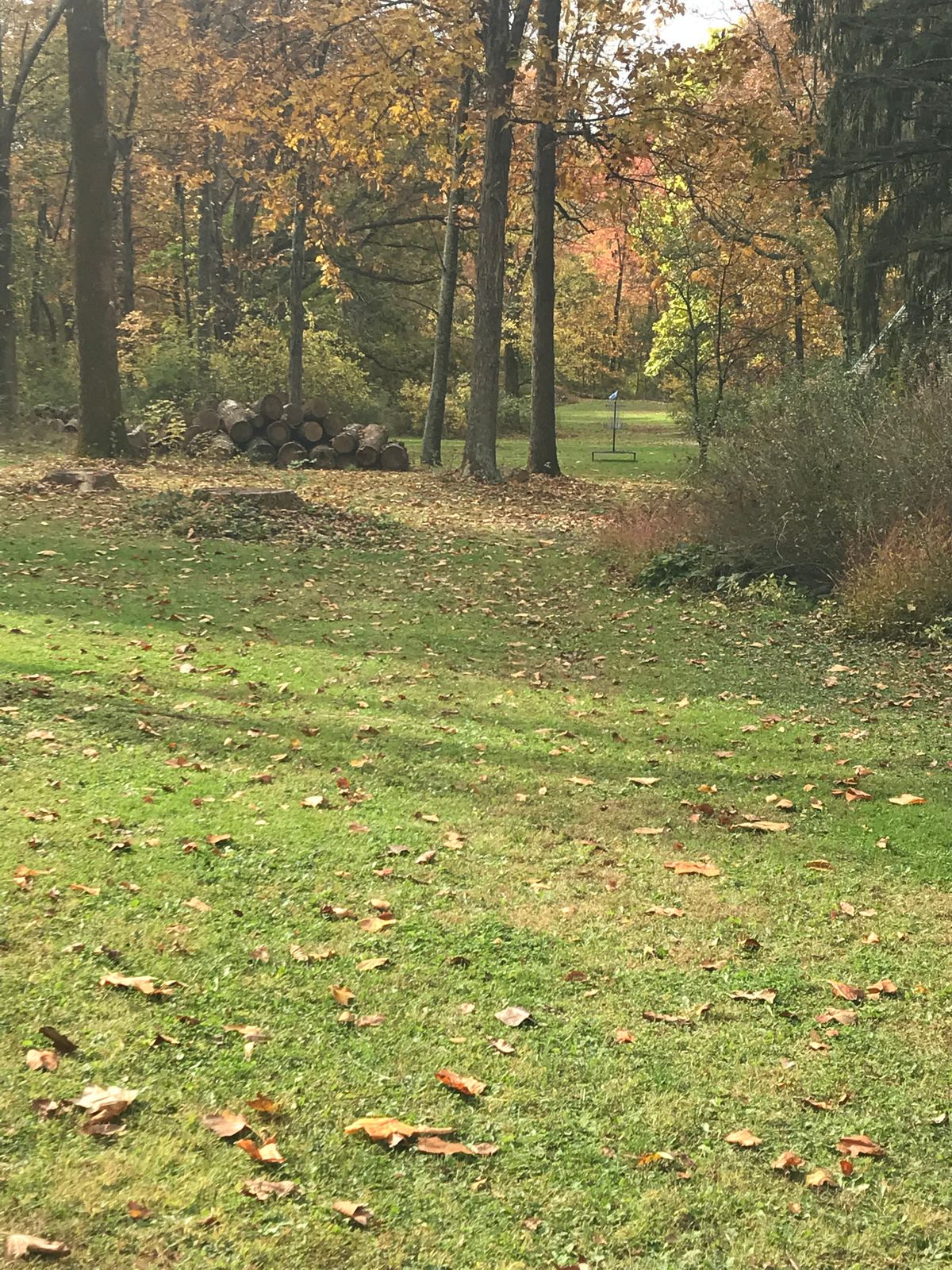Furnace Run - | UDisc Disc Golf Course Directory