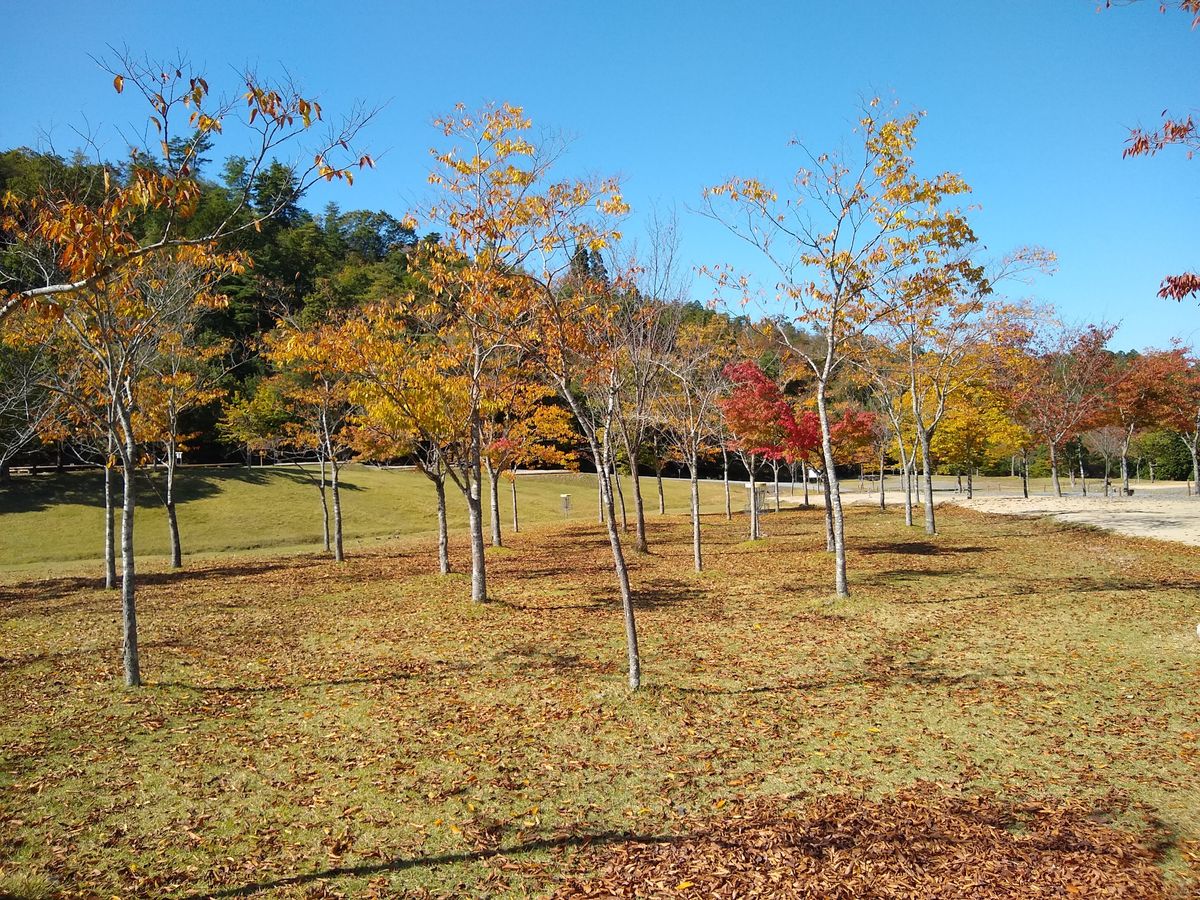 Ayabe Disc Golf - Your Guide to Disc Golf in Ayabe, Japan | UDisc