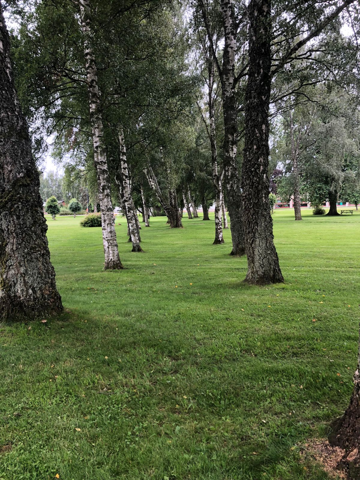 Stadsparken - Herrljunga, Sweden | UDisc Disc Golf Course Directory