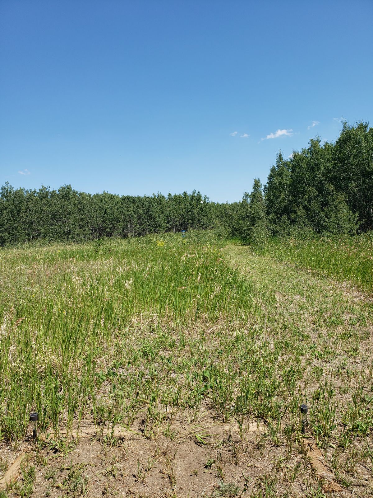 Jackfish Lake BlueBird Course - Cochin, SK, Canada | UDisc Disc Golf ...