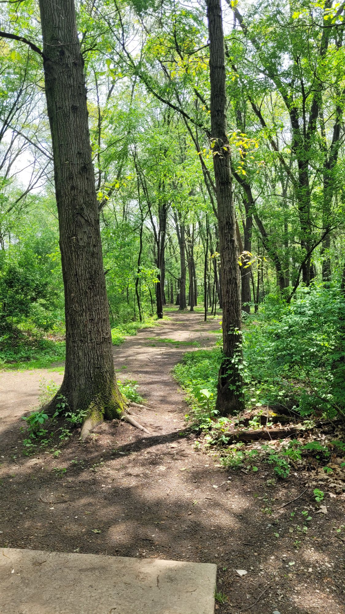 Ferrettie Baugo Creek County Park - Osceola, IN | UDisc Disc Golf ...