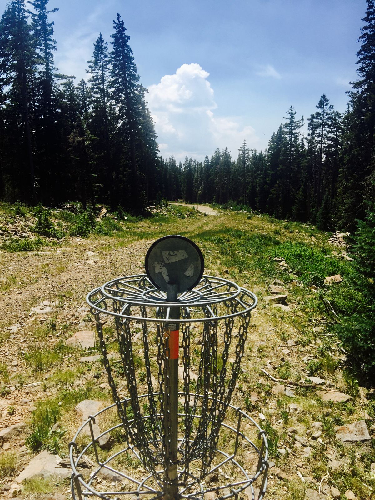 Taos Disc Golf - Your Guide to Disc Golf in Taos, New Mexico | UDisc