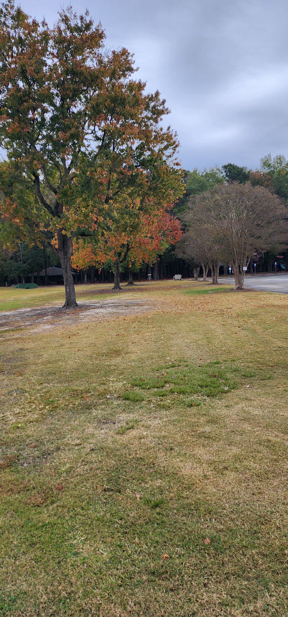 Joel Smith Memorial DGC at Bill Fay Park - Kinston, North Carolina ...