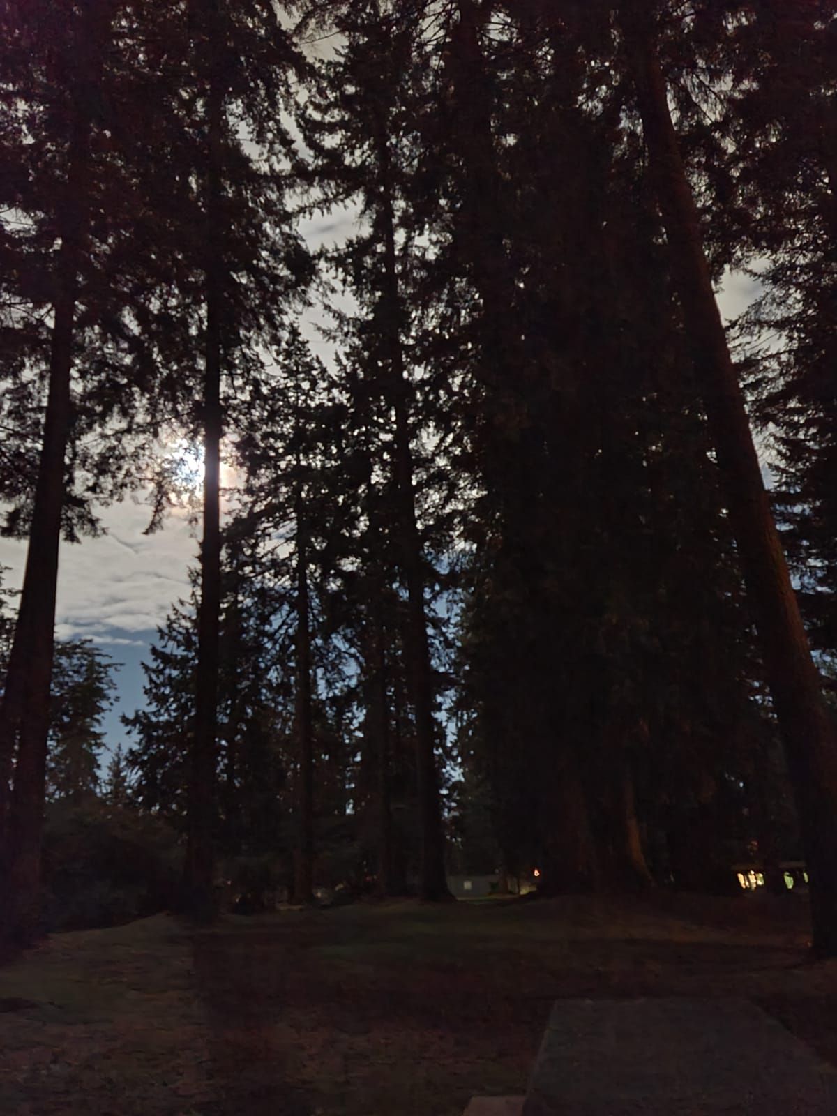 Blue Mountain Glow - Coquitlam, BC, Canada | UDisc Disc Golf Course ...