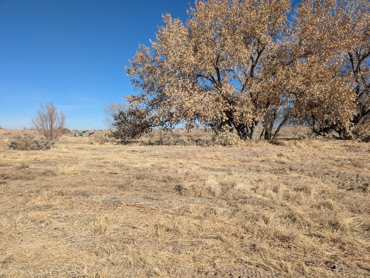 Ladera (Old Dam) - Albuquerque, New Mexico | UDisc Disc Golf Course ...