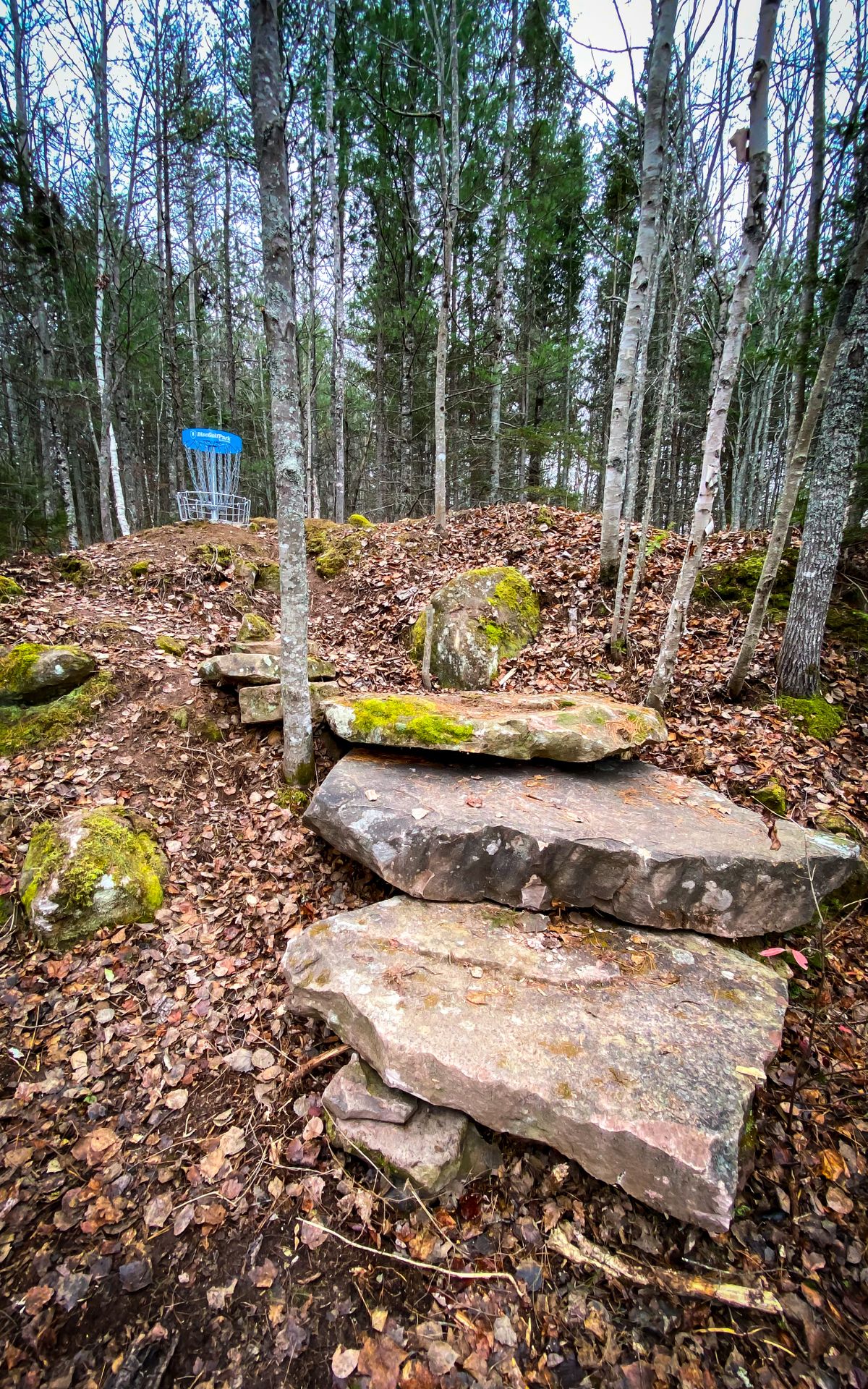 100 Best Disc Golf Courses in Canada (2026) | UDisc