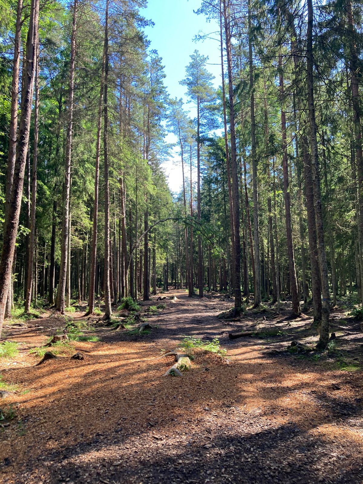 Viimsi Discgolfi Park - Tammneeme, Estonia | UDisc Disc Golf Course ...