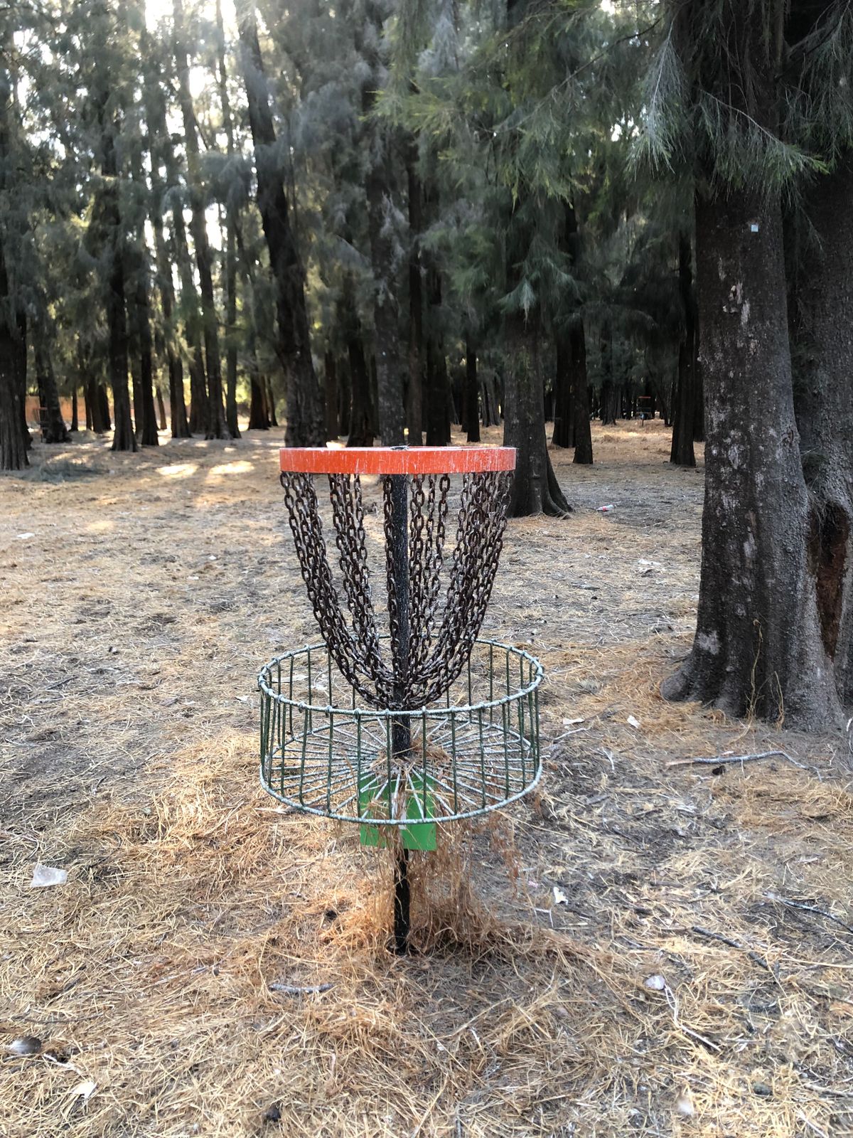 San Francisco del Rincón Disc Golf - Your Guide to Disc Golf in San ...