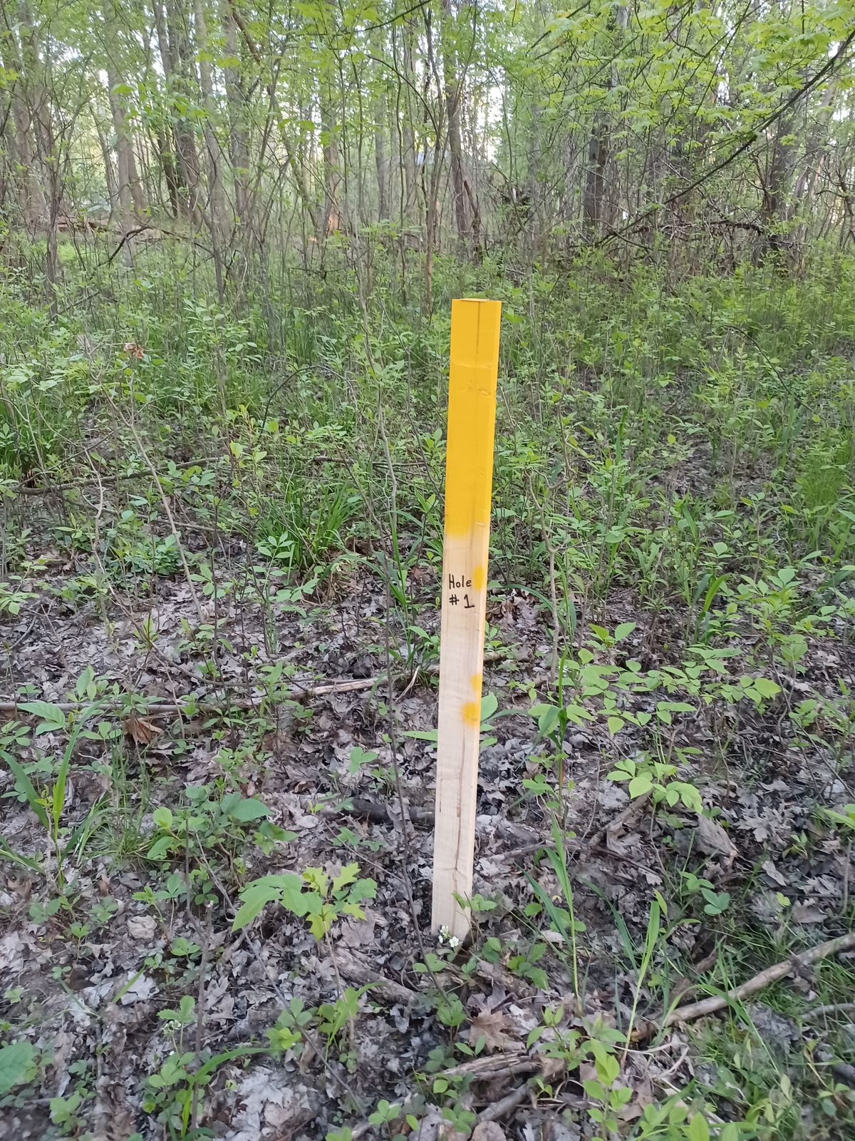 Rustic Oak Course - Buffalo, NY | UDisc Disc Golf Course Directory