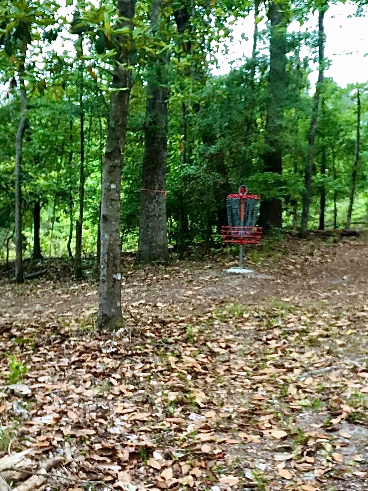 Red Stick DGC - Eufaula, Alabama | UDisc Disc Golf Course Directory