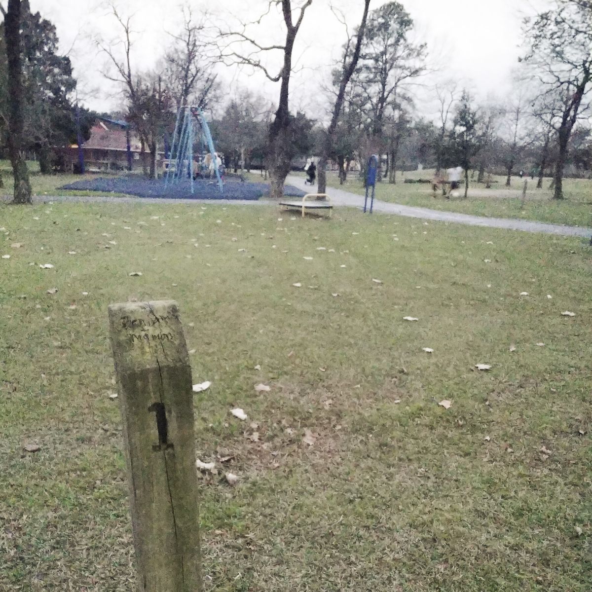 Cedar Brook Elementary School - Houston, Texas | UDisc Disc Golf Course ...