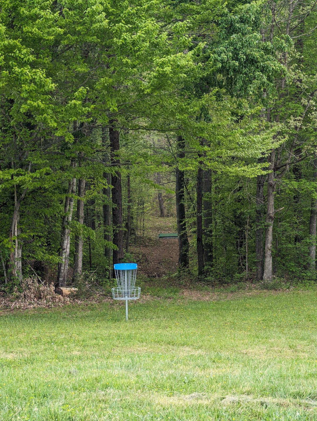 Seven Springs Disc Golf Course - Enonville, VA | UDisc Disc Golf Course ...
