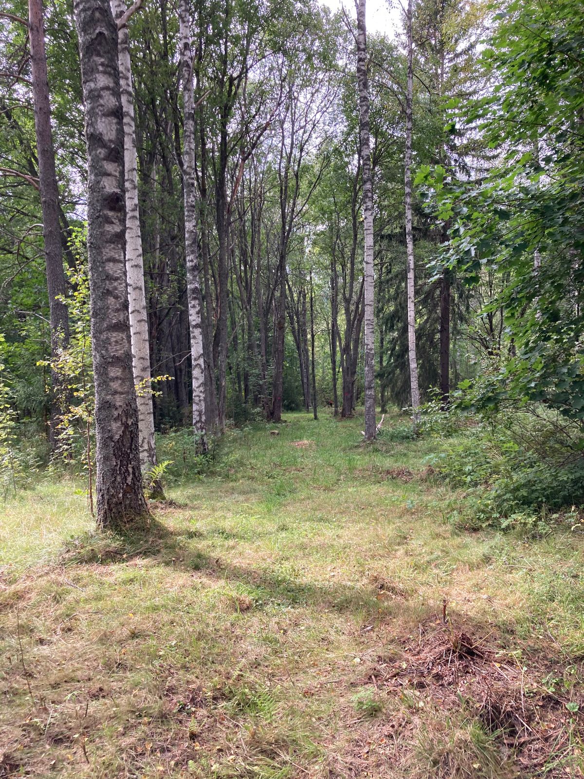 Idkerberget Discgolfbana - Idkerberget, Sweden | UDisc Disc Golf Course ...