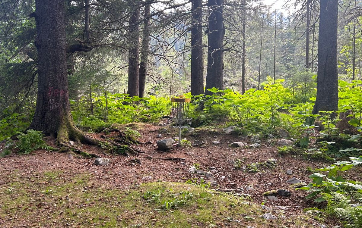 Seward Community - Seward, Alaska | UDisc Disc Golf Course Directory