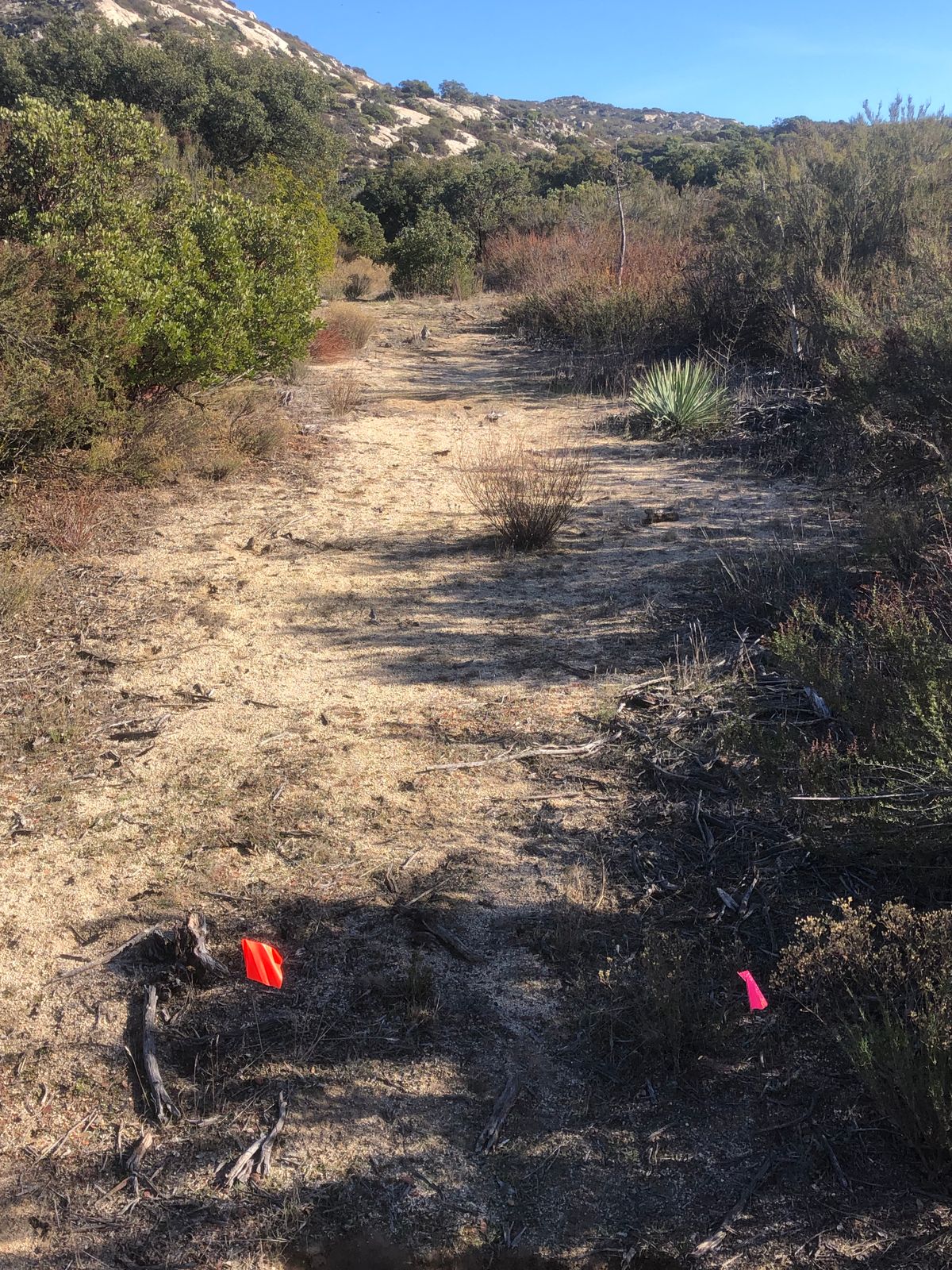 River Run Ranch - Campo, California | UDisc Disc Golf Course Directory