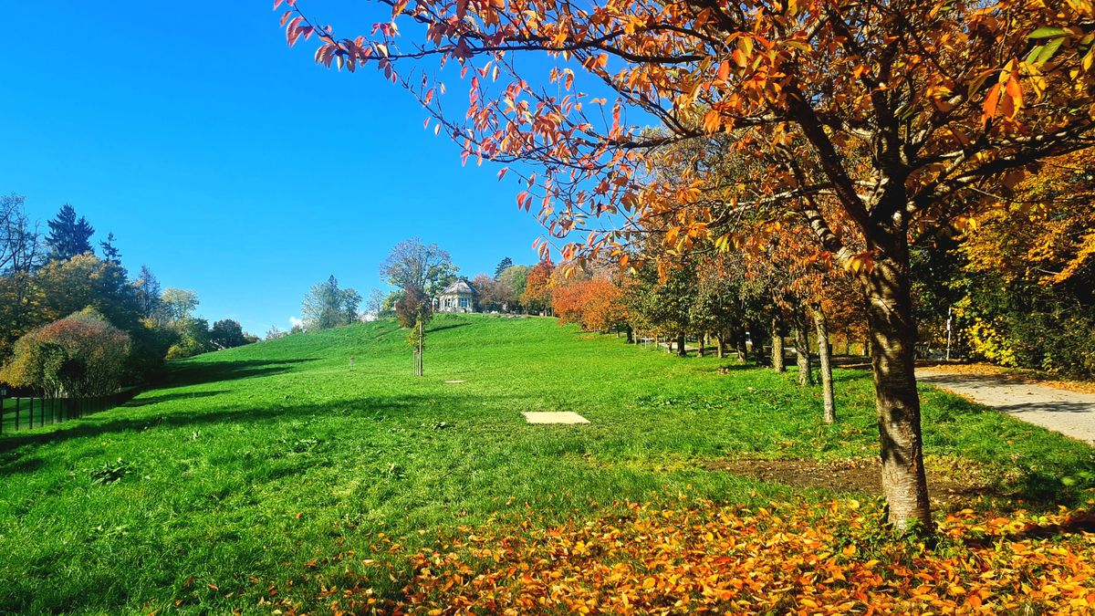 Rosenhain - Graz, Austria | UDisc Disc Golf Course Directory