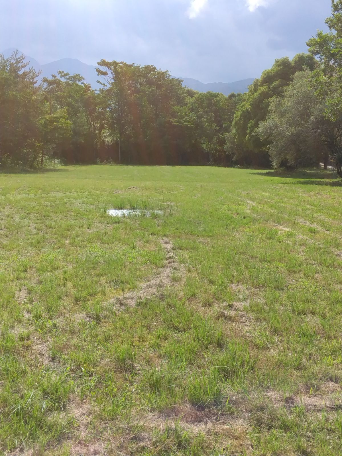 Yokkaichi Disc Golf - Your Guide to Disc Golf in Yokkaichi, Japan | UDisc