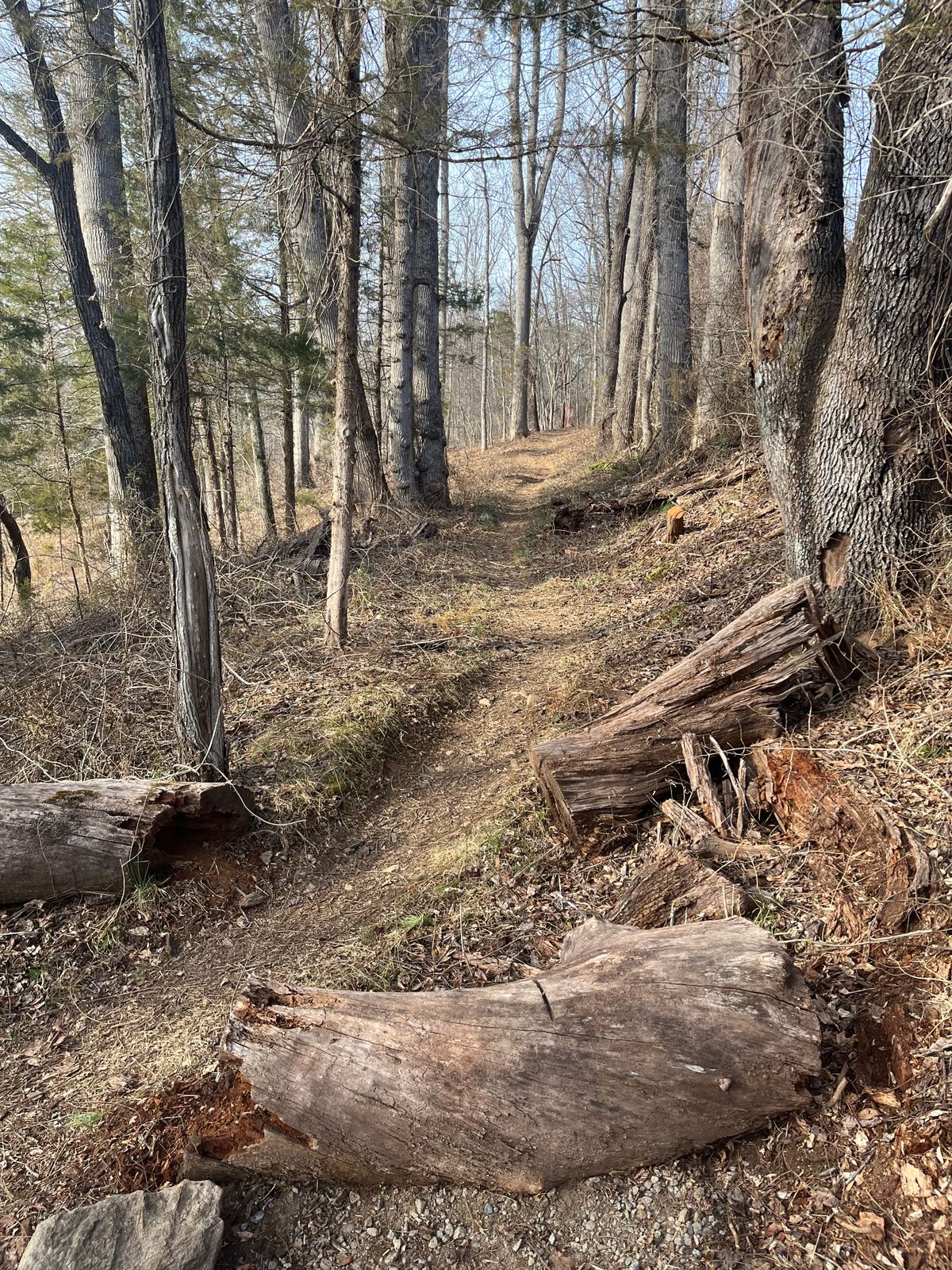 Miller School of Albemarle - Creekside - Batesville, VA | UDisc Disc ...