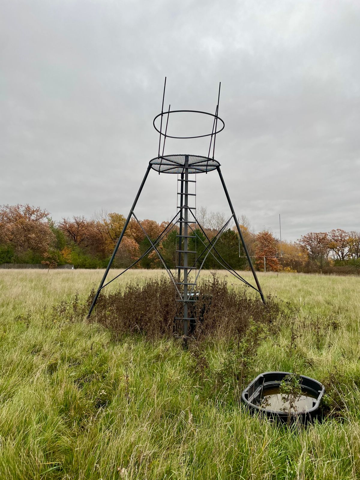 Trinity International University - Bannockburn, Illinois | UDisc Disc ...