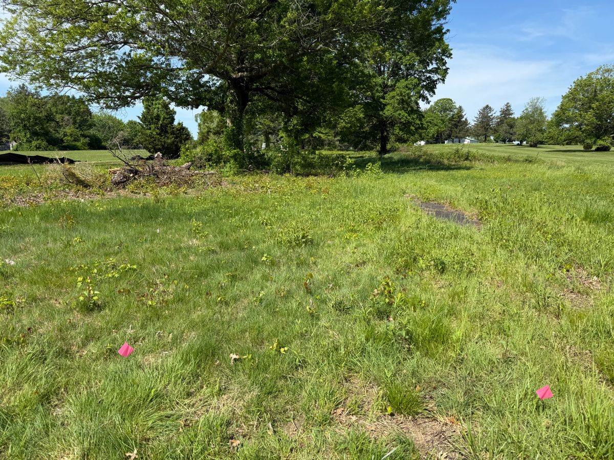 Miry Run Disc Golf Course - Robbinsville Township, New Jersey | UDisc ...