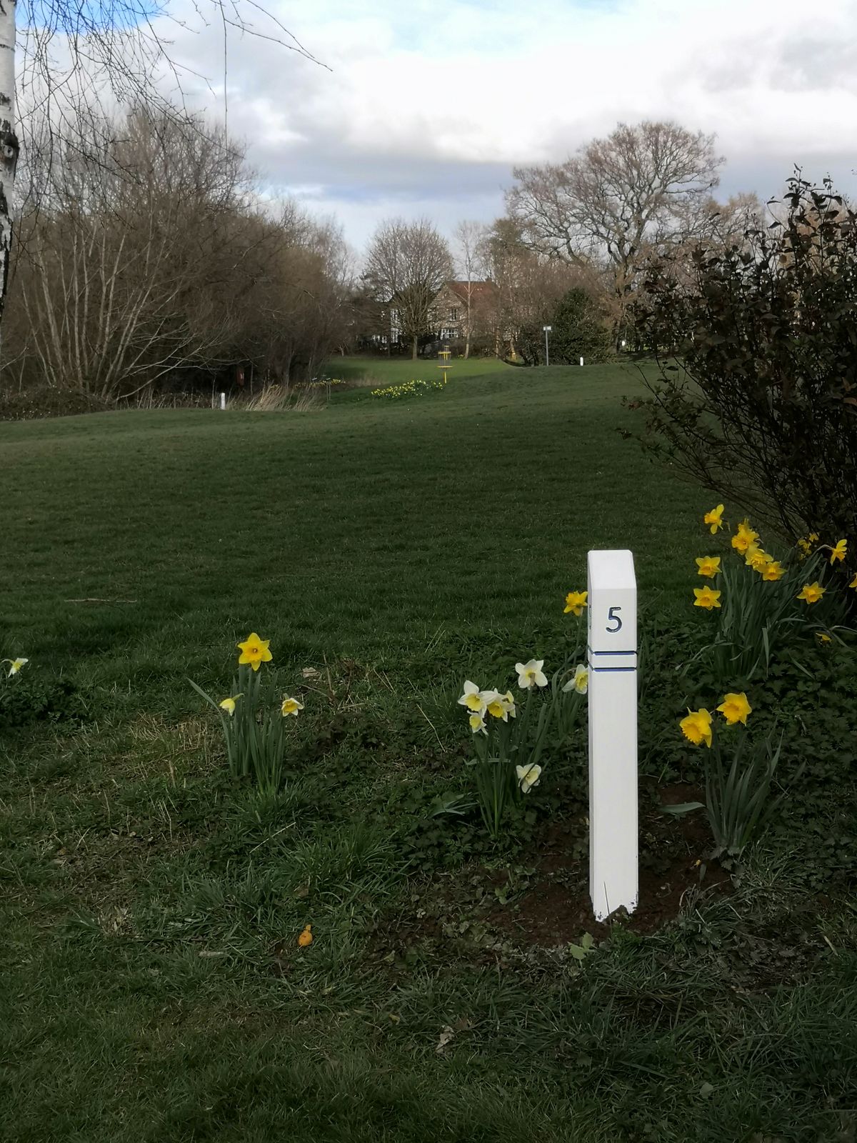 Mereside - Shrewsbury, United Kingdom | UDisc Disc Golf Course Directory