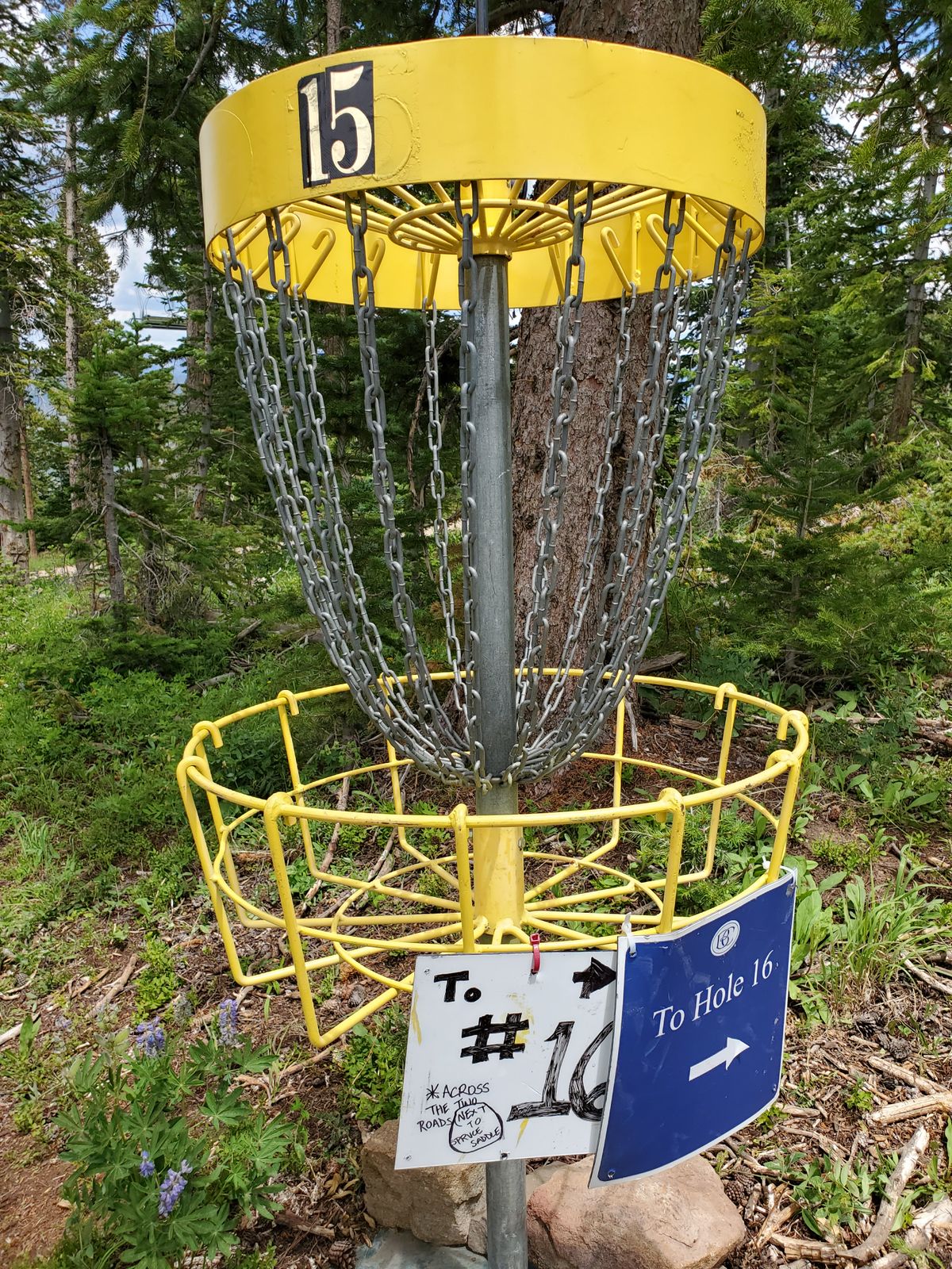 Beaver Creek Resort - Edwards, Colorado | UDisc Disc Golf Course Directory
