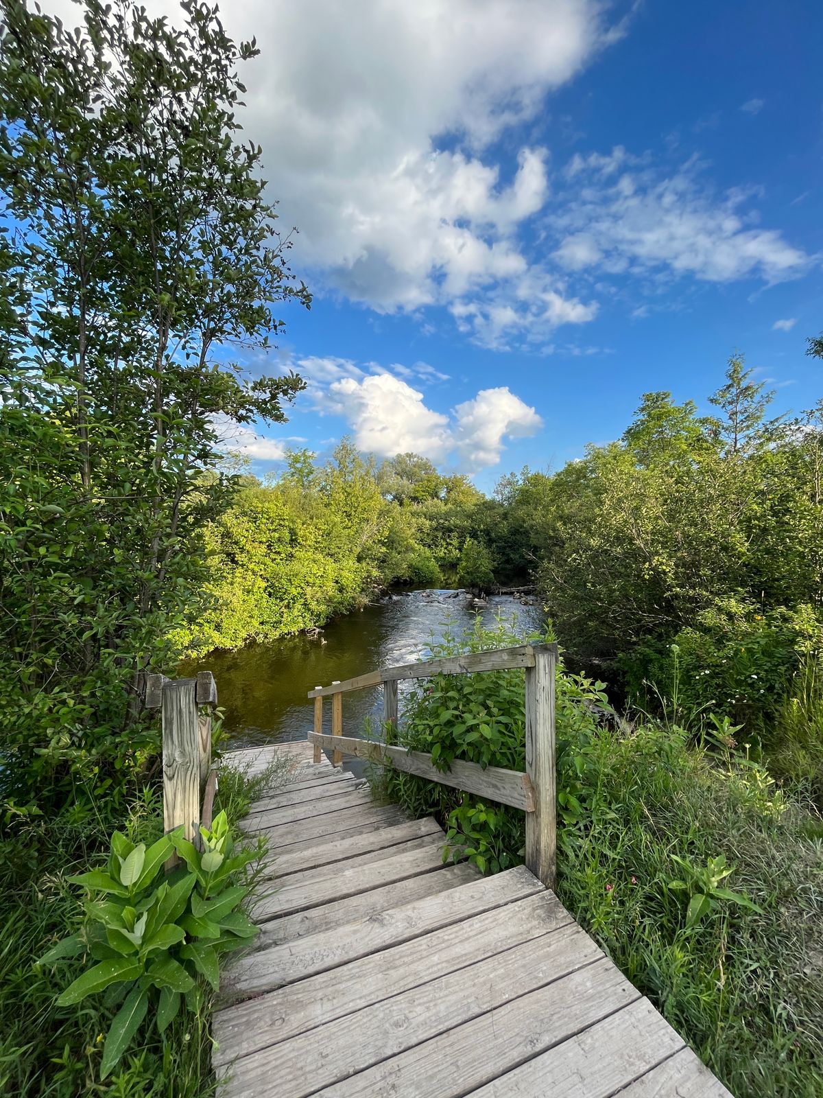 Baseball Complex Layout