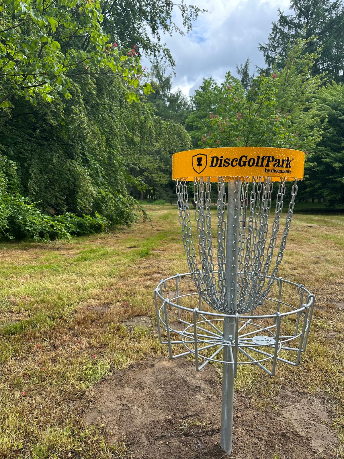 Myślenice Disc Golf - Your Guide to Disc Golf in Myślenice, Poland | UDisc