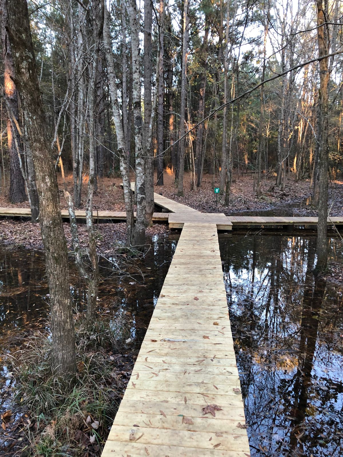 Ogeechee Crossing DiscGolfPark - Louisville, Georgia | UDisc Disc Golf ...
