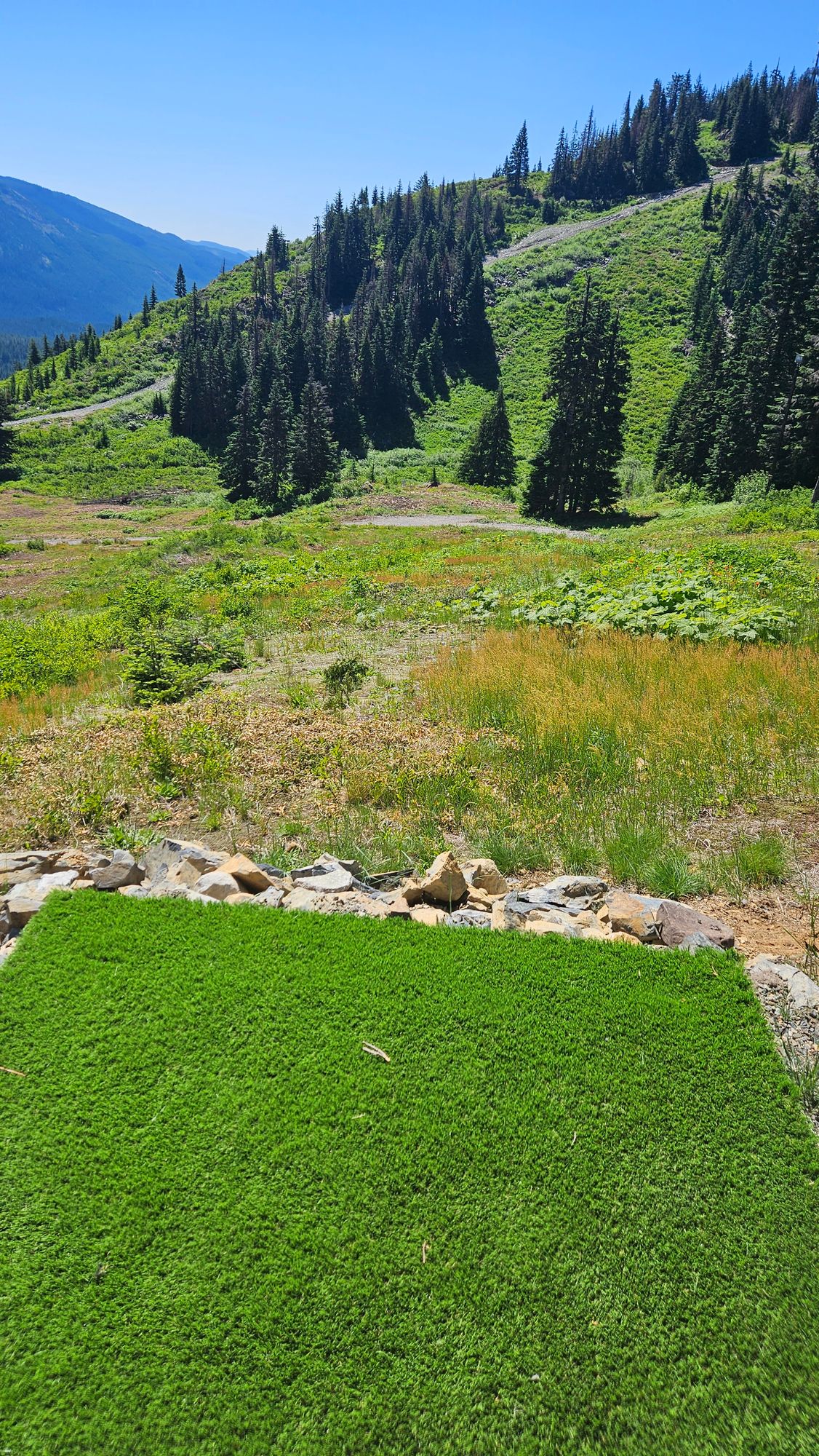 Thunderbird DGC - Snoqualmie Pass, WA | UDisc Disc Golf Course Directory