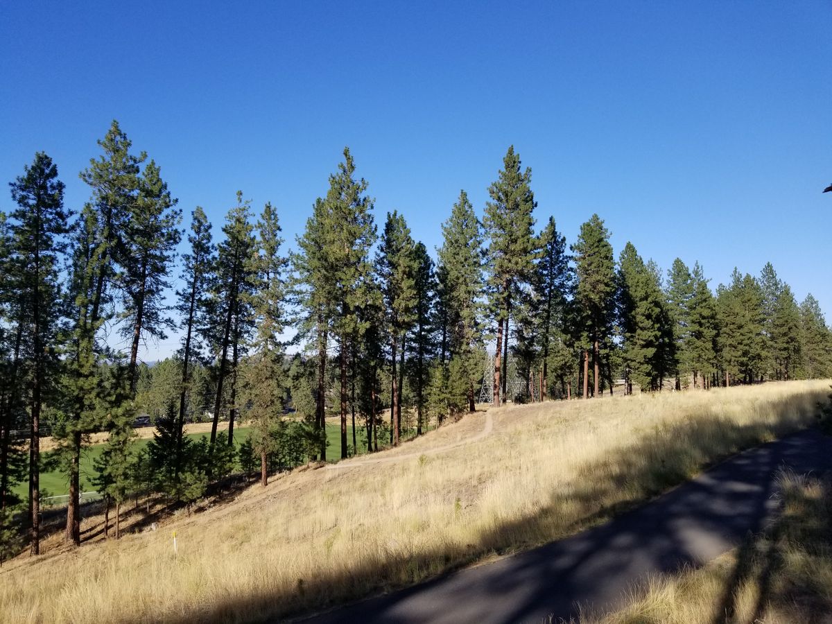 Whitworth - Spokane, Washington | UDisc Disc Golf Course Directory