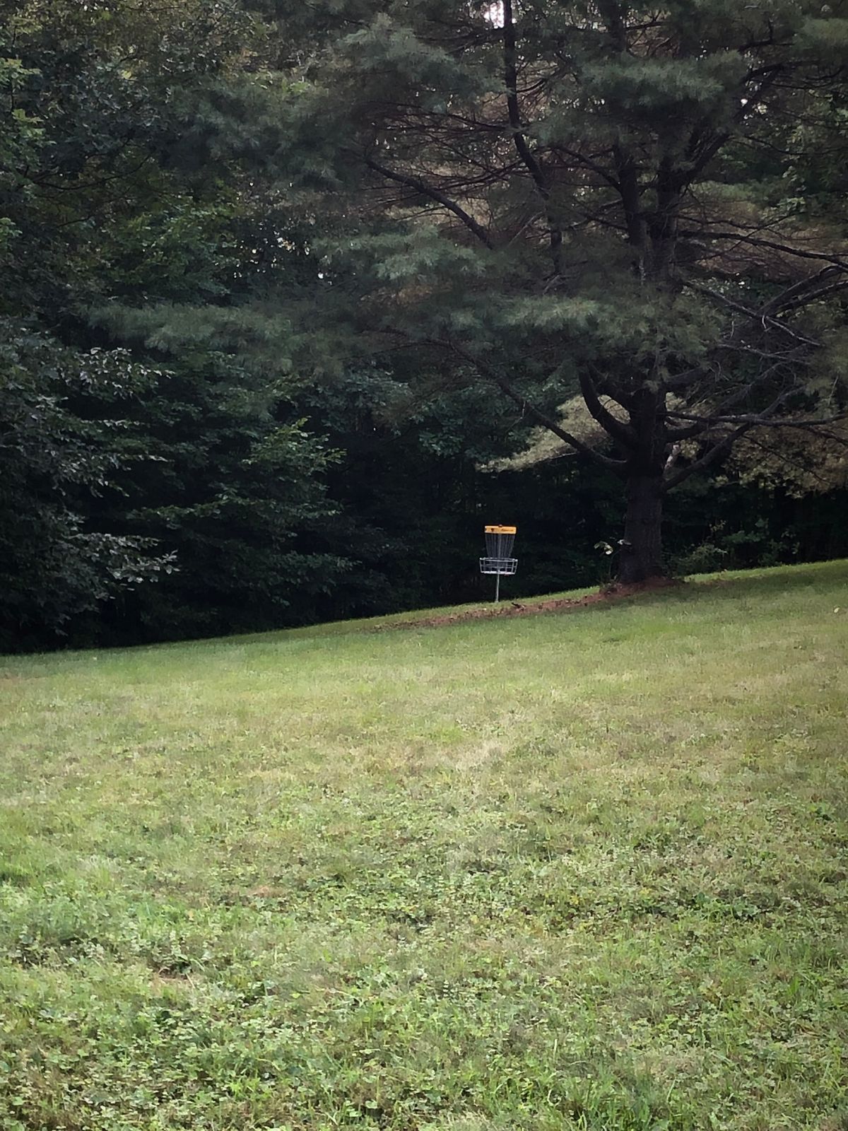 Ring Brook Disc Golf - Plainfield, New Hampshire | UDisc Disc Golf ...