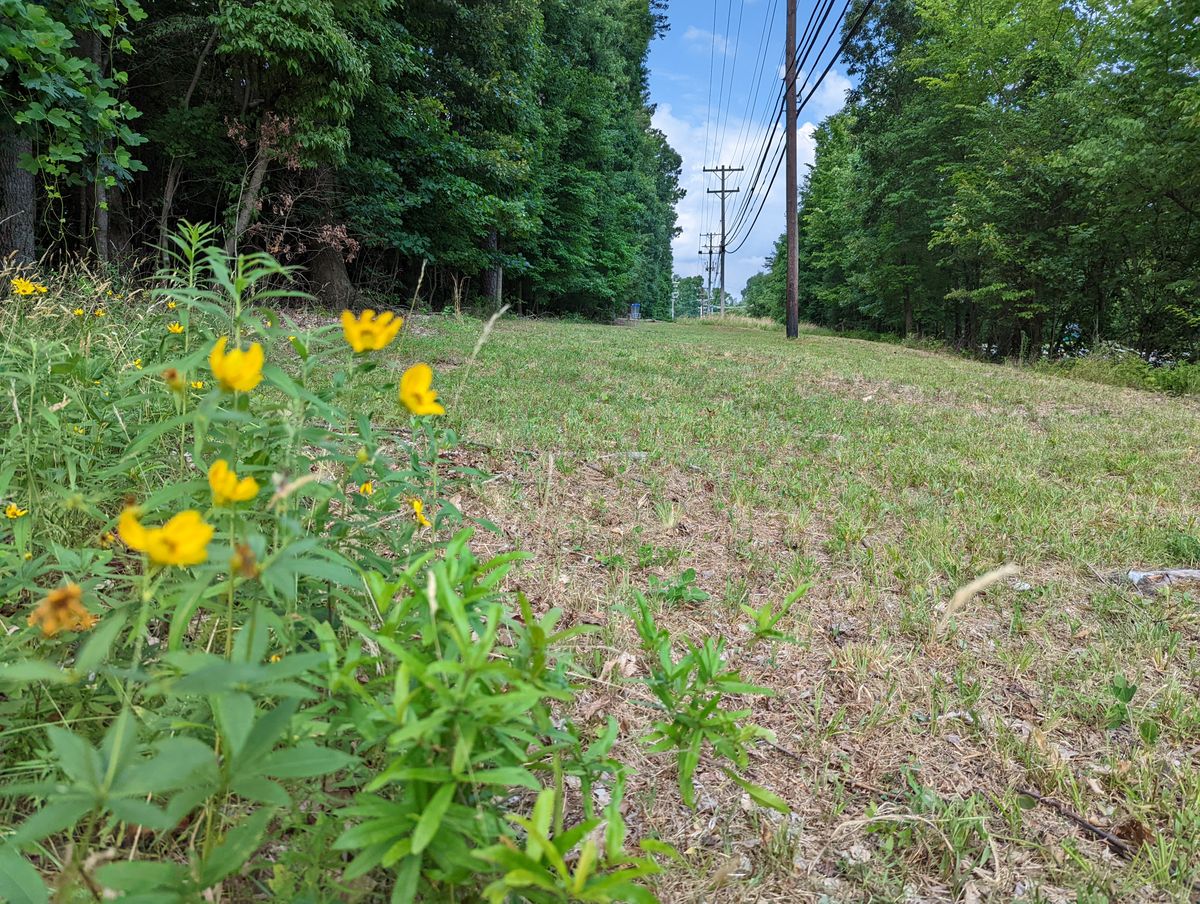 Jamestown Disc Golf - Your Guide to Disc Golf in Jamestown, North ...