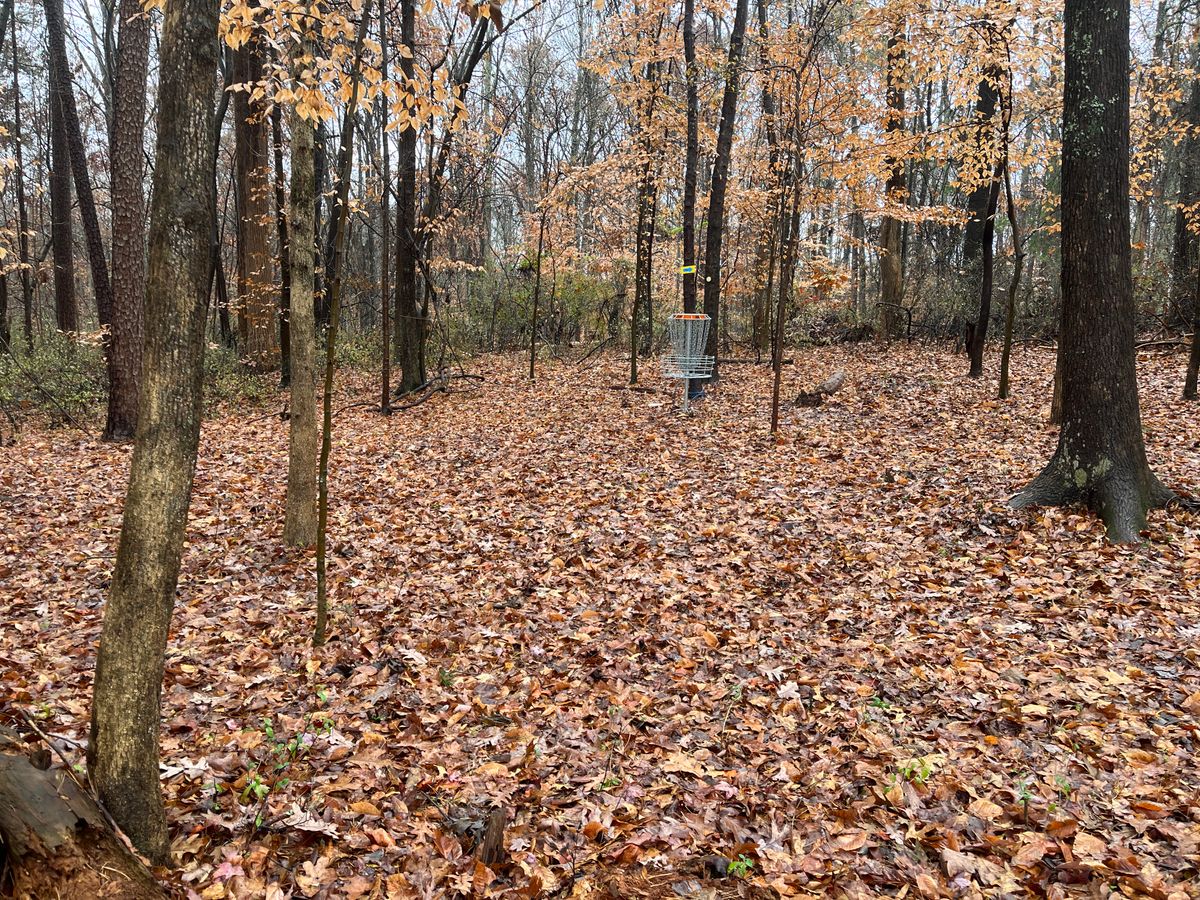 Nevin Daydream - Charlotte, North Carolina | UDisc Disc Golf Course ...