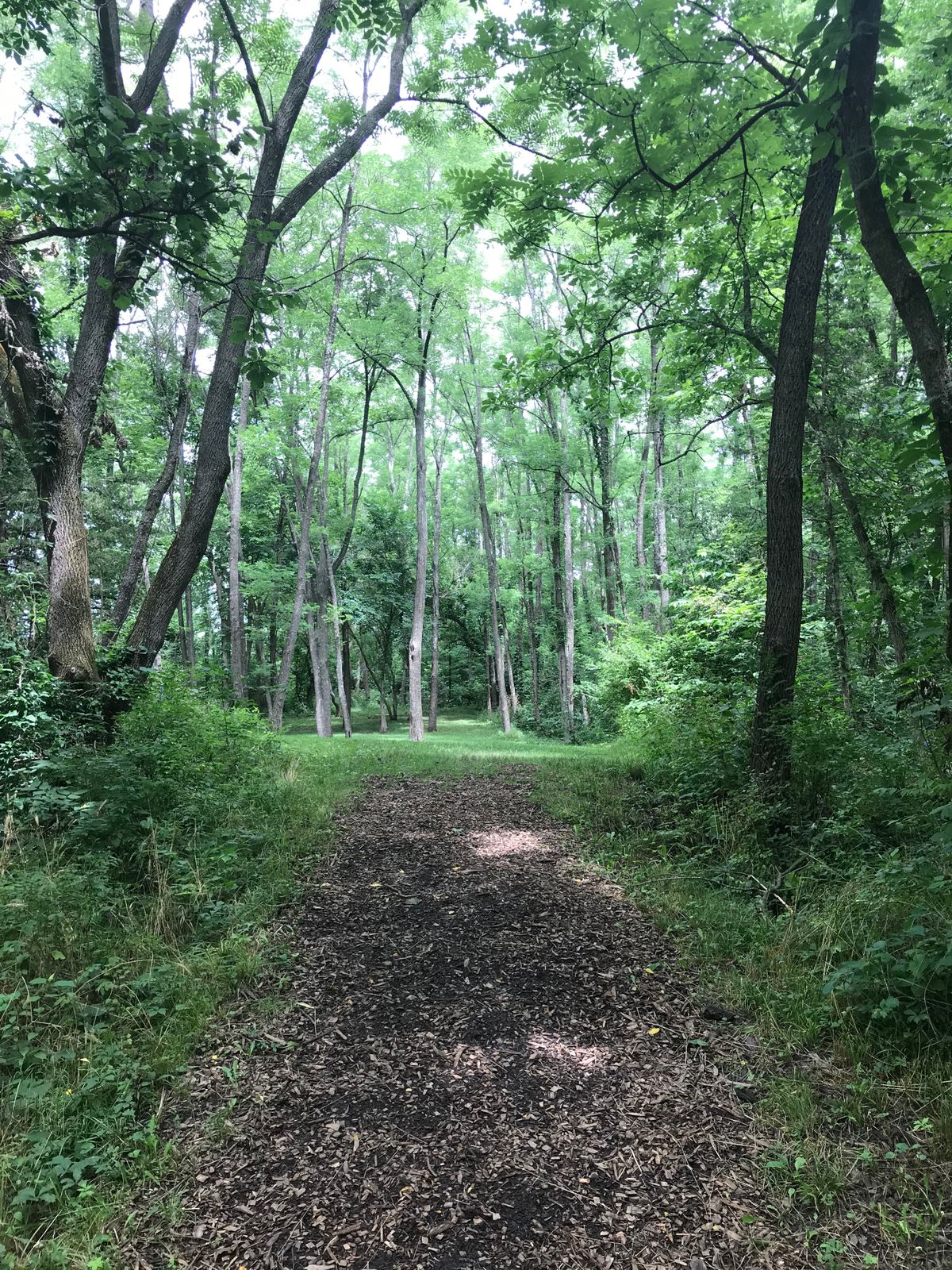 Pickard Park | Course Photos