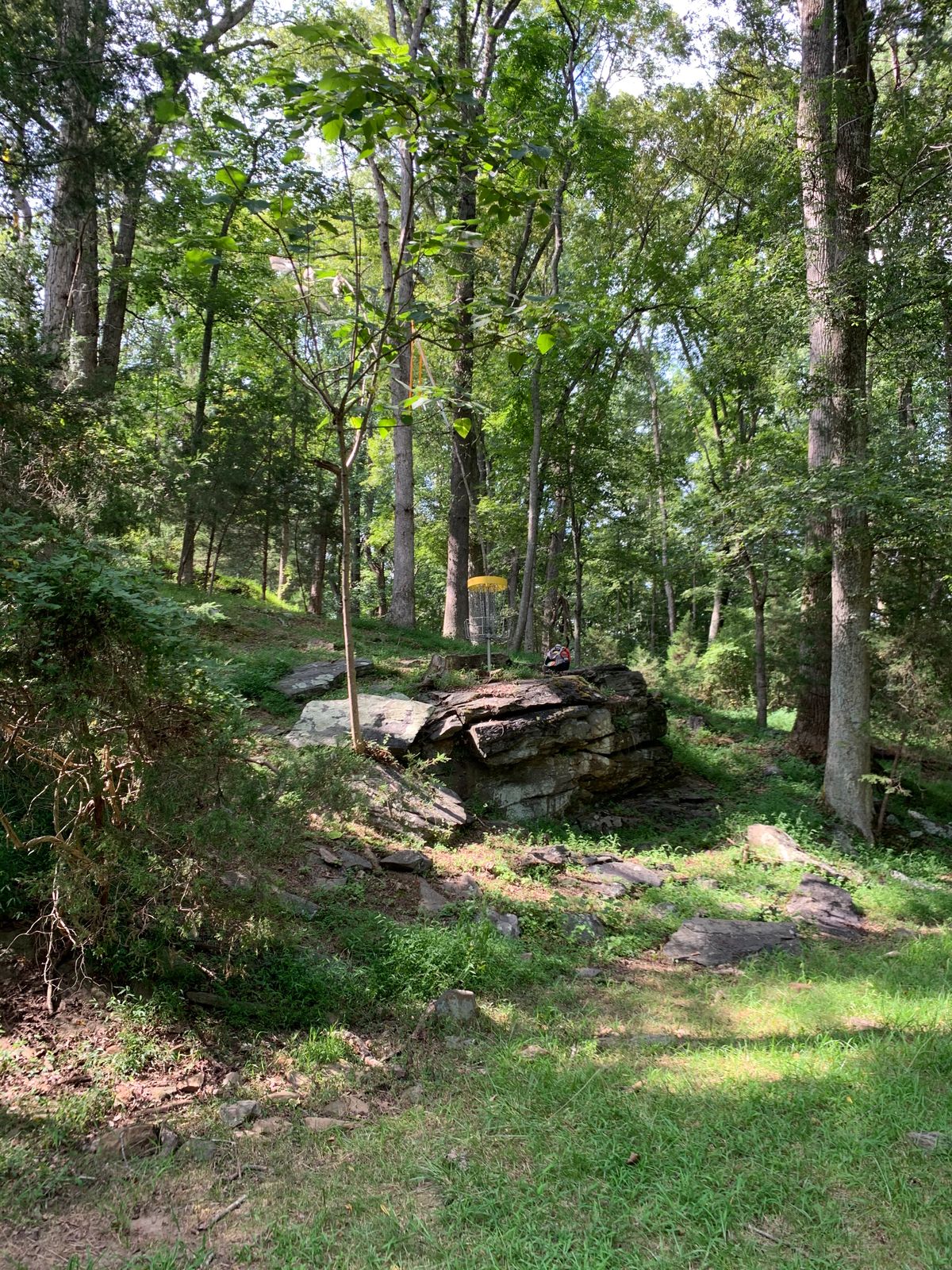 Hawk Hollow - Mineral, Virginia | UDisc Disc Golf Course Directory